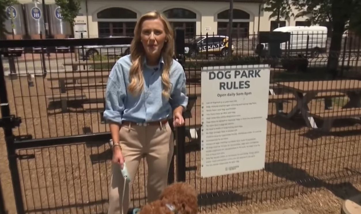 10 Unspoken Dog Park Rules Every Owner Should Follow - PetsAndPals
